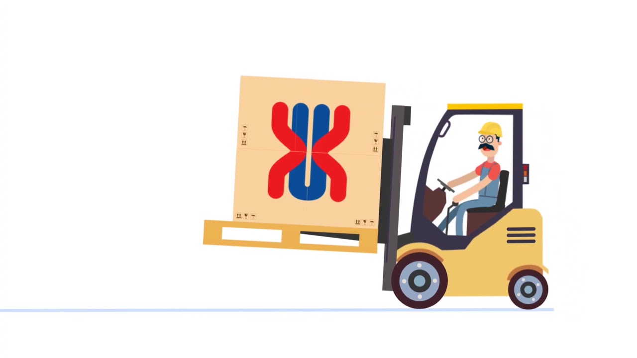 Animated Intro • UMK Logo Logistics Fx