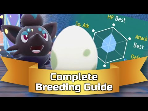 EVERYTHING to Breeding Guide: Pokemon Scarlet & Violet Edition