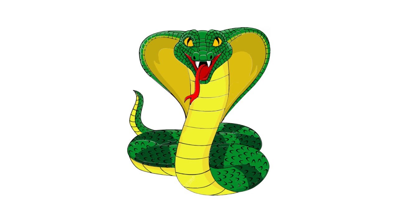 Everything You Need to Know About COBRA in Under 5 Minutes