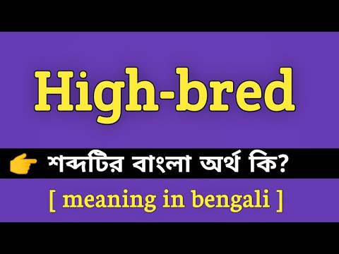 High-bred Meaning in Bengali || Highbred শব্দের বাংলা অর্থ কি || Bengali Meaning Of Highbred