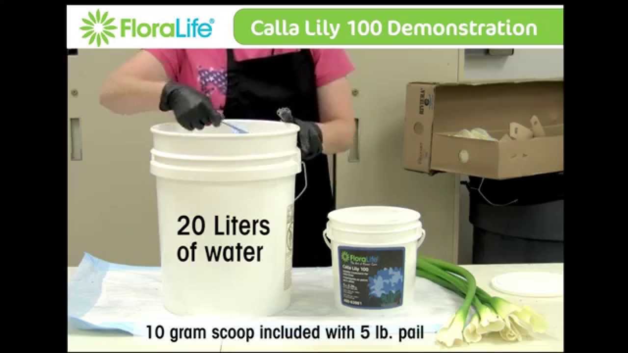 Floralife® Calla Lily 100 Demonstration