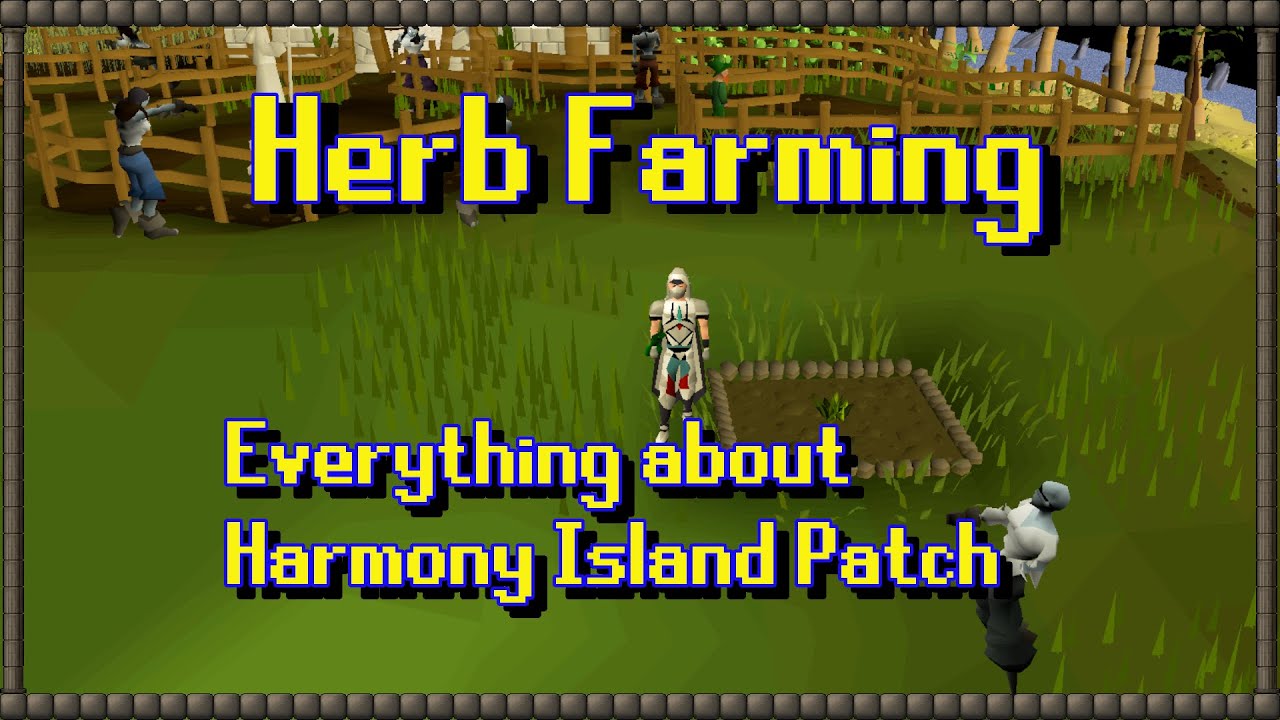 Harmony Island Patch Upgrade Guide