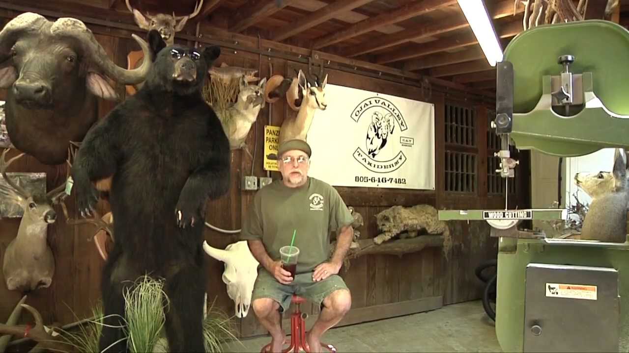 Chuck Testa says thank you