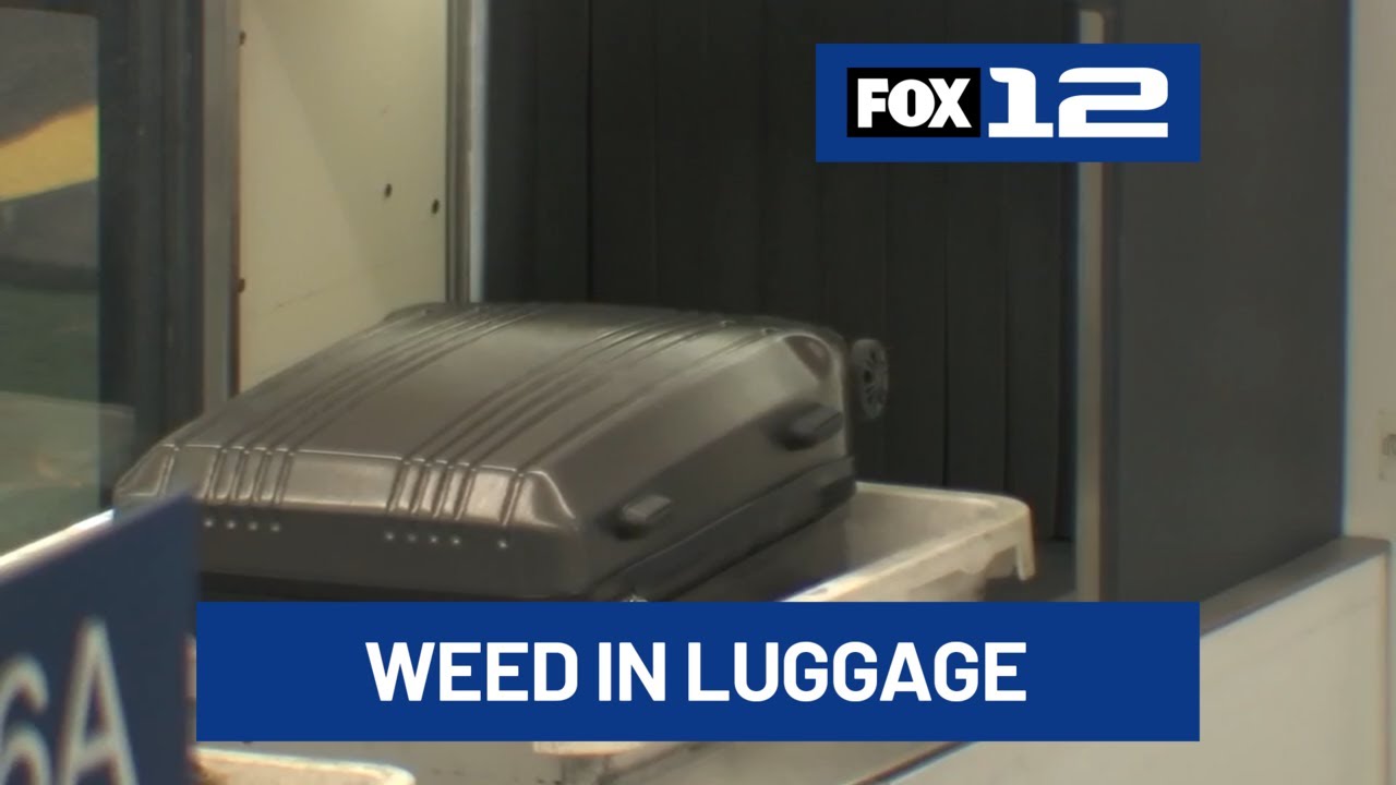 Flying high: Man arrested at PDX for trying to take 50 pounds of marijuana on flight