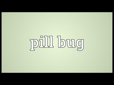 Pill bug Meaning