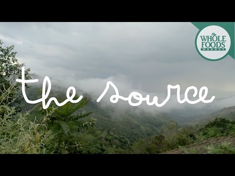 The Source | Allegro Coffee | Whole Foods Market