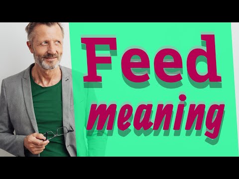 Feed | Meaning of feed