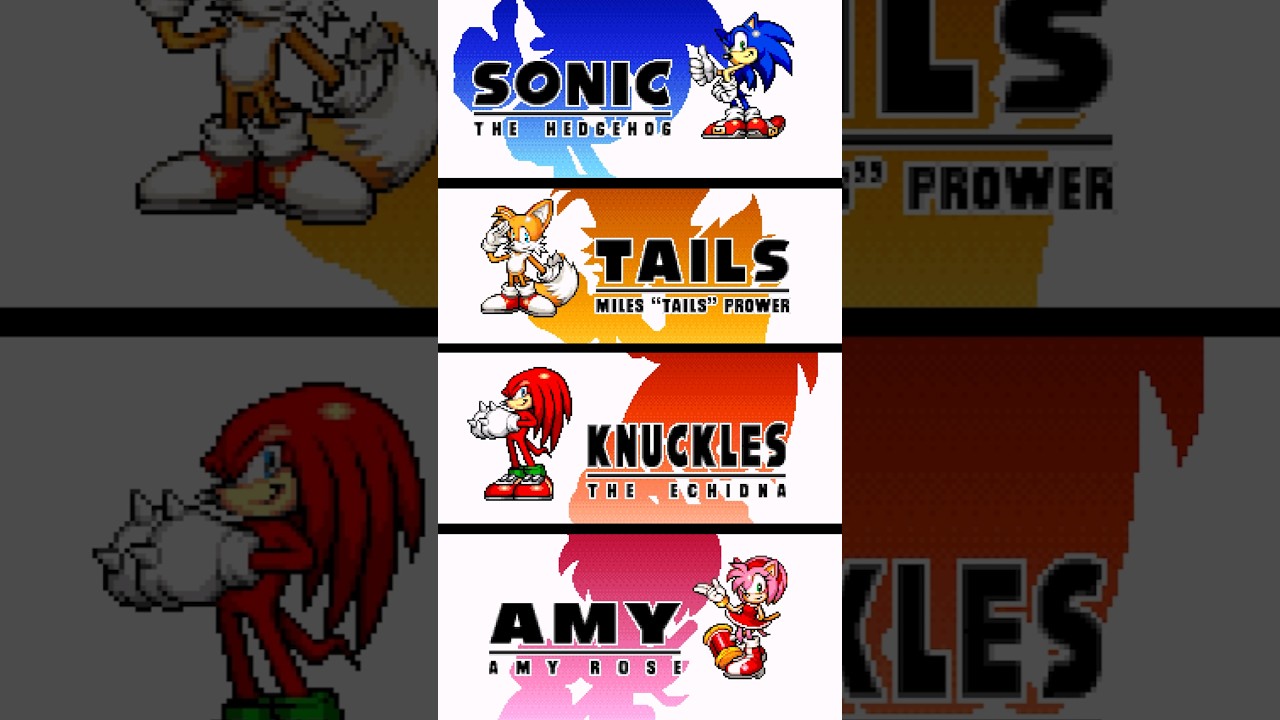 How to get the secret 5th character in Sonic Advance