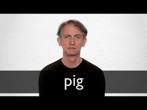 How to pronounce PIG in British English