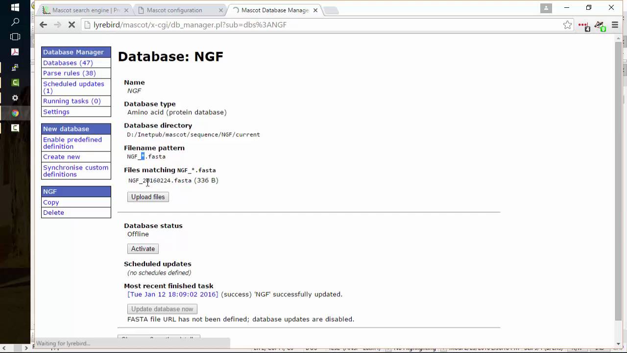 Mascot Server: Setting up a custom database