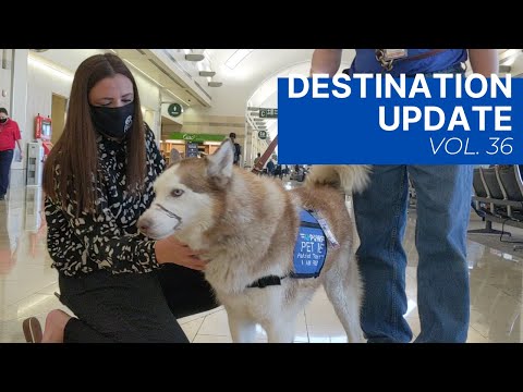 Visit Anaheim Destination Update (Vol. 36)