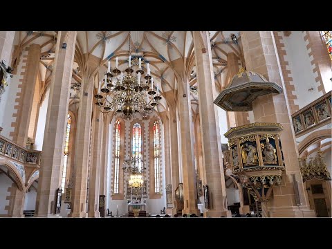 SIGHTGEIST - THE SAXONY MAGAZINE's Video Advent Calendar: Dec 21, 2023