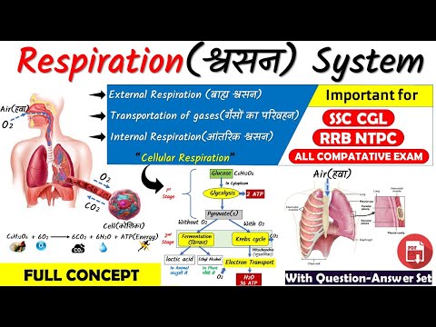 Respiratory System (श्वसन तंत्र) Video Lecture - Crash Course for SSC ...