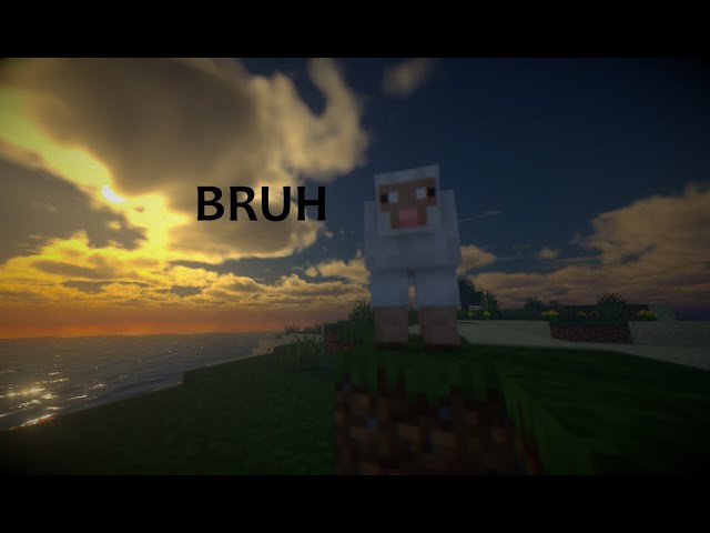 Bruh Moment Texture Pack Minecraft Texture Pack