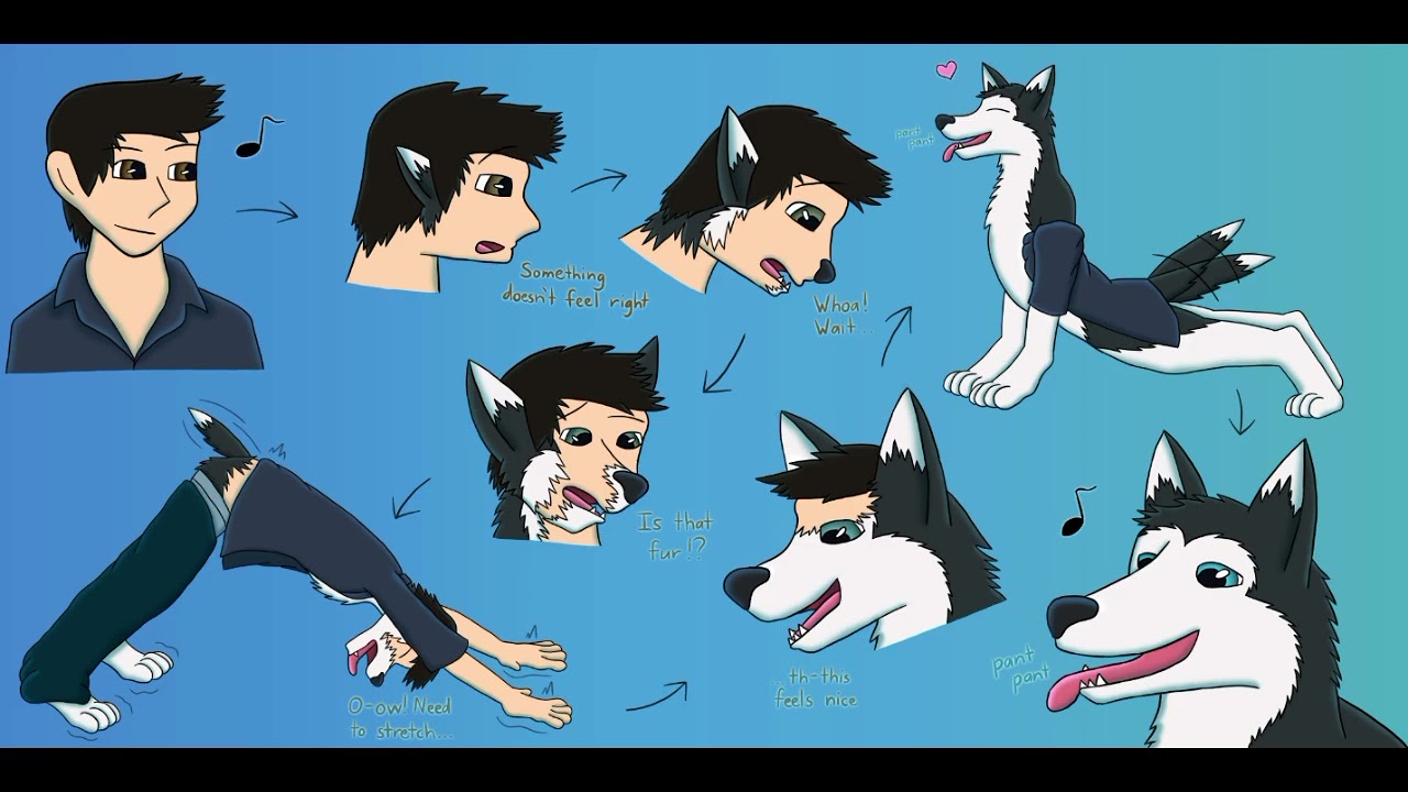 Dog Tf