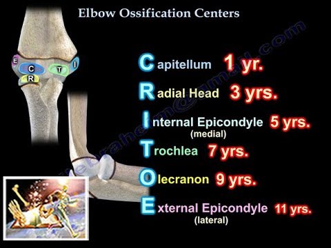 Elbow Ossification Centers – Dr. Nabil Ebraheim's Blog