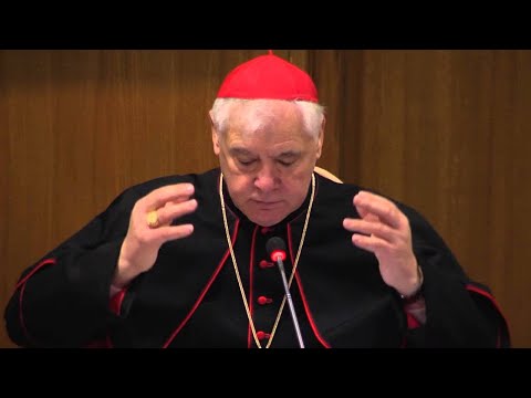 Cardinal Muller: What The Church Can Do In Our Crisis – RETURN TO TRADITION