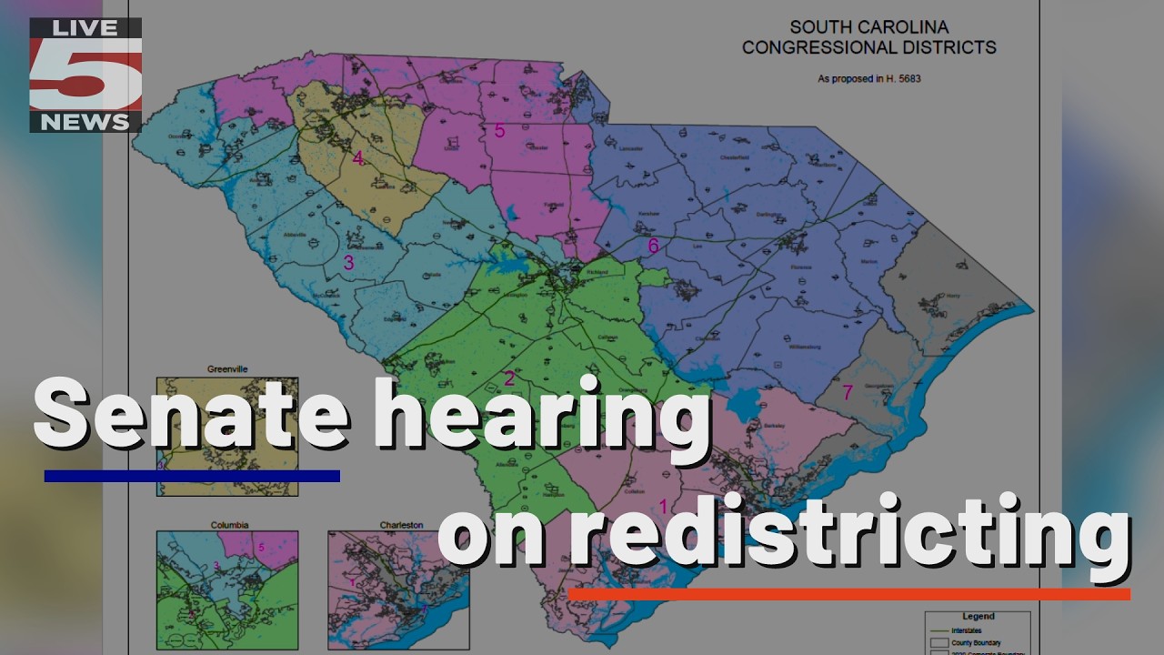 South Carolina Senate hears testimony on redistricting proposal | RAW VIDEO
