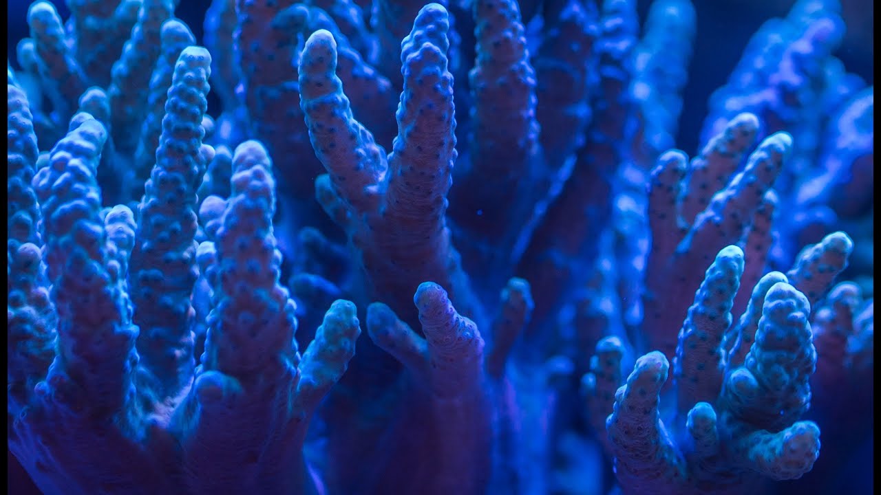 Lab for Fluid Dynamics in Nature