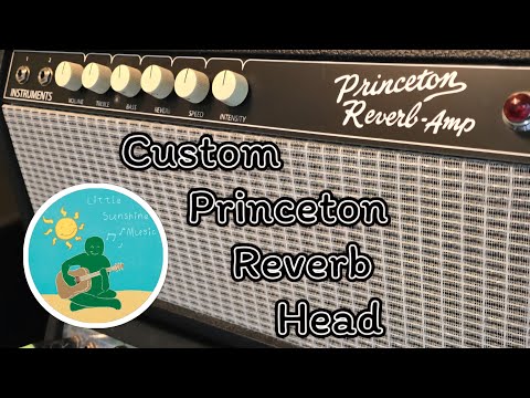 Fender Blackface Princeton Reverb clone custom built by Curt | Reverb