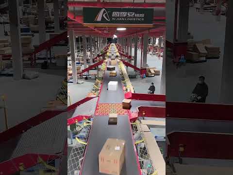 Logistics company. Automated express sorting factory