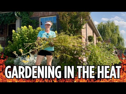 🔥 Braving the Heat for a Front Garden Refresh with Vinca, Trellis & Seed Saving!