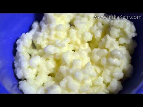 Kefir Pronunciation