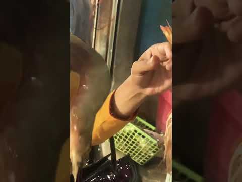 Jamboo prawns #shorts #prawns
