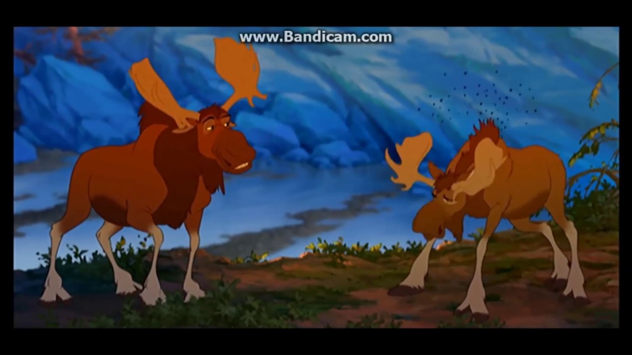 Dog Facing Forward by Rutt & Tuke (Brother Bear)