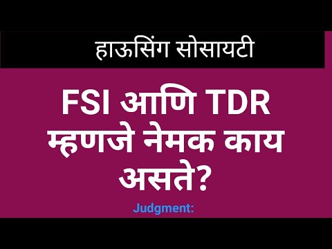 24/055: What is FSI & TDR.