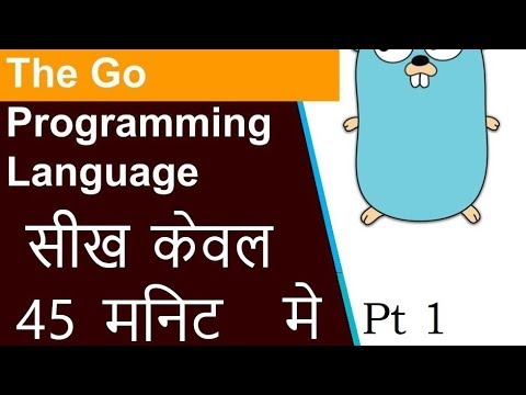 Learn Learn GO in 45 Minutes Pt 1 हिन्दी - Mind Luster