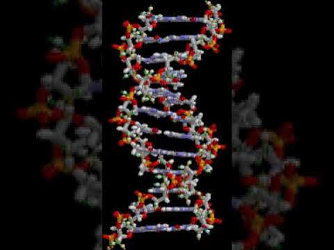 Theory of evolution | Wikipedia audio article