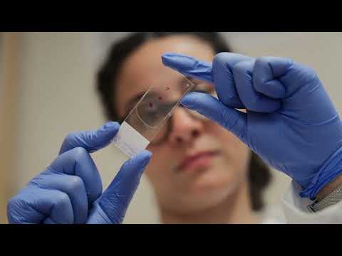 College of Medicine State of the College 2023 — Research Pillar