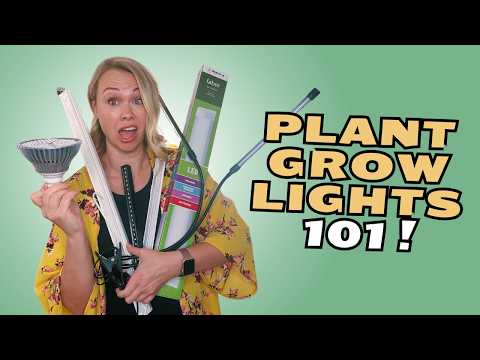 Choosing the best Grow Lights for Indoor Plants: A Beginners Guide ????????