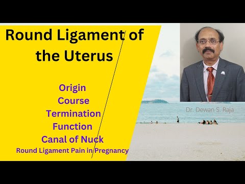 Round Ligament of the Uterus