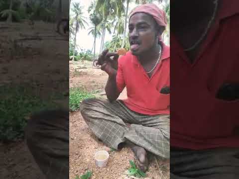 #arambikalama#tamil
