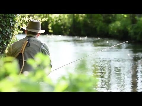 A Message from The Wild Trout Trust