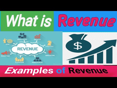 What is Revenue,it's Examples?