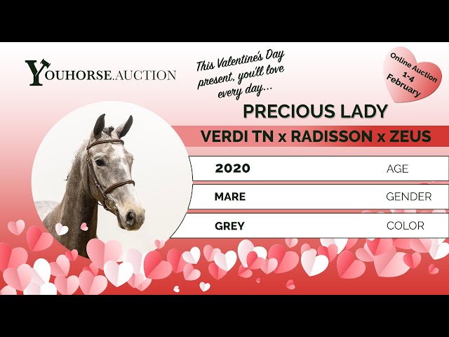 Youhorse.auction | Precious Lady