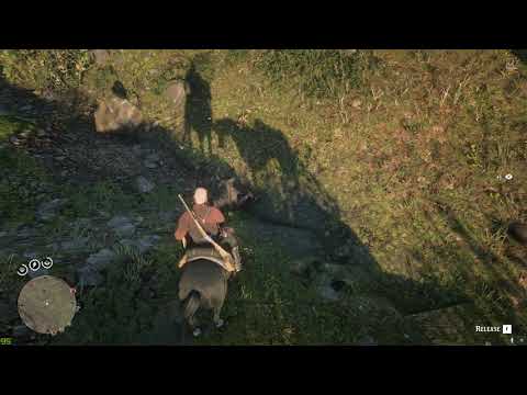 Steam Community :: Video :: rdr2 bug