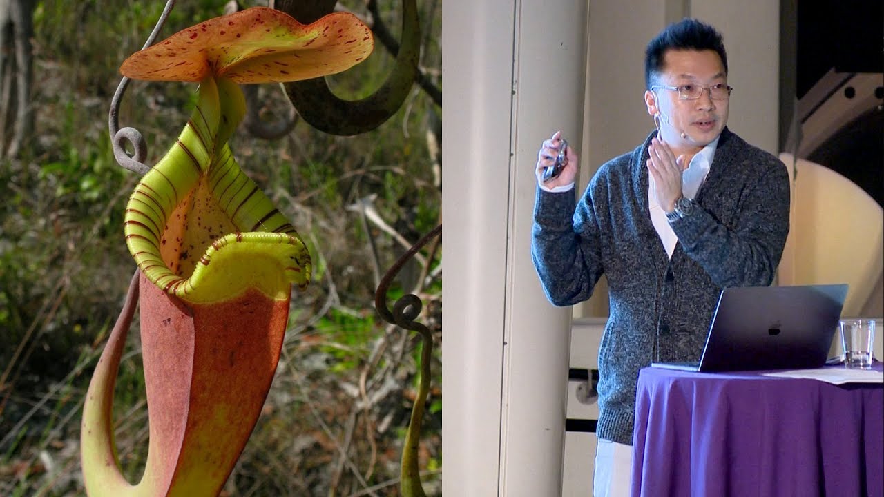 Technology Inspired by Nature – AMNH SciCafe