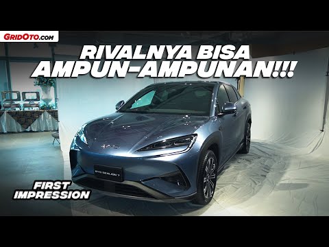 BYD Sealion 7, New Electric Car, Fierce and Ferocious