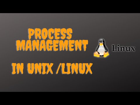 Process Management in Unix /Linux - System Calls Fork,exec,wait by Online Operating System