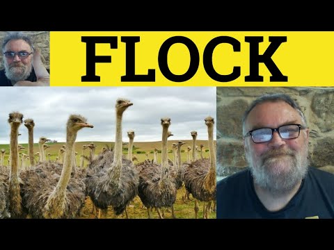 🔵 Flock Meaning - Flock Examples - Flock Defined - Noun and Verb - Flock