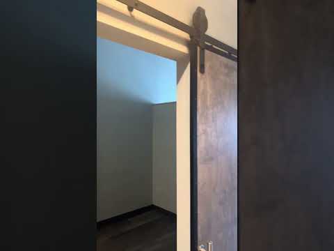 2101 S Wabash Ave #604 - Video Walkthrough