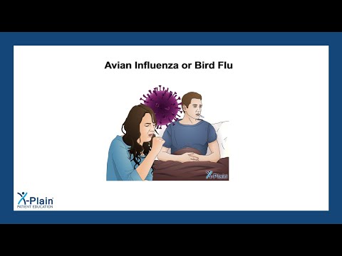 Avian Influenza or Bird Flu