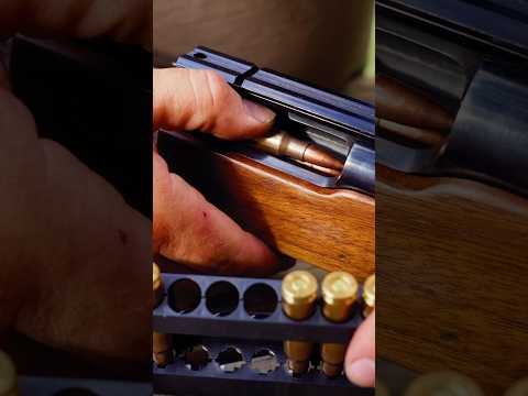 Remington Mohawk 600