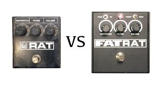 Pro Co Fat Rat - What To Know & Where To Buy | Equipboard