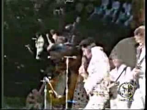 Elvis Presley-Mr Songman+lyrics