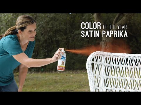 Rust-Oleum Painter's Touch 2X Ultra Cover 12 Oz. Satin Paint + Primer ...